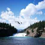 mysql插入中文数据变成问号问题 - 知士荟